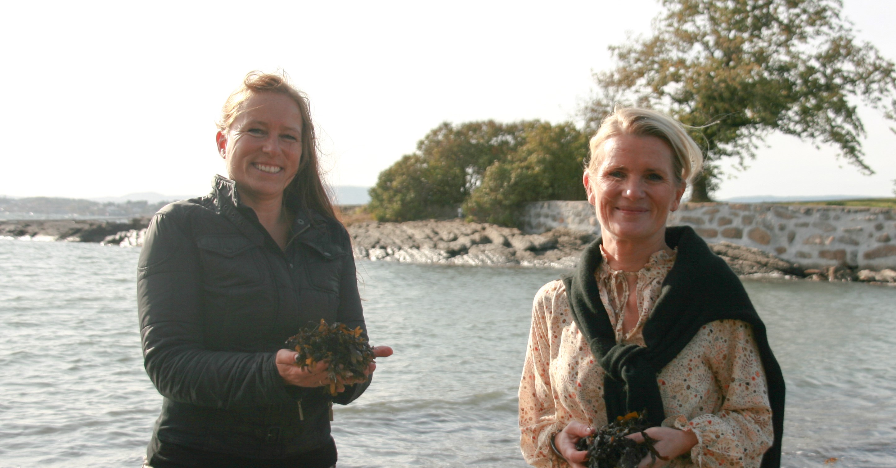 Orkla - Orkla invests in seaweed