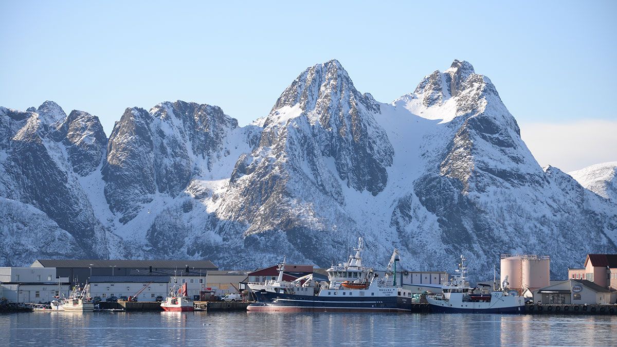 Orkla - Orkla acquires Vesterålen Marine Olje