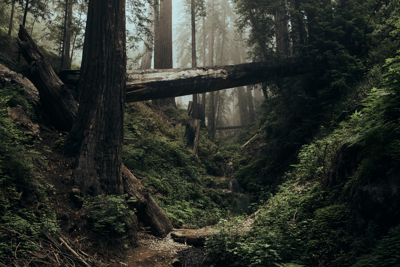 Orkla - Orkla scores top marks for sustainability reporting